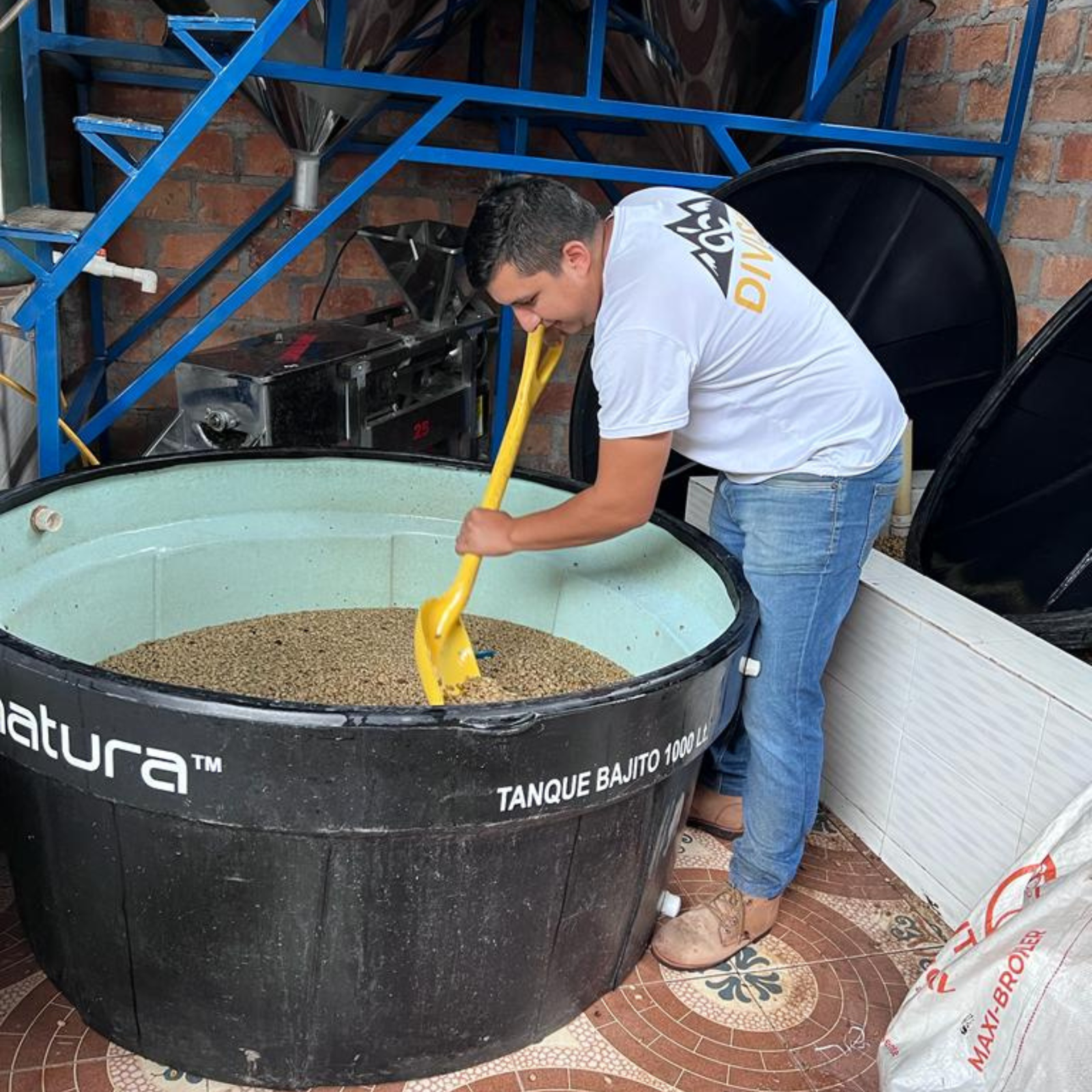 Colombia El Diviso Fermentación especial Competición - PUCHERO